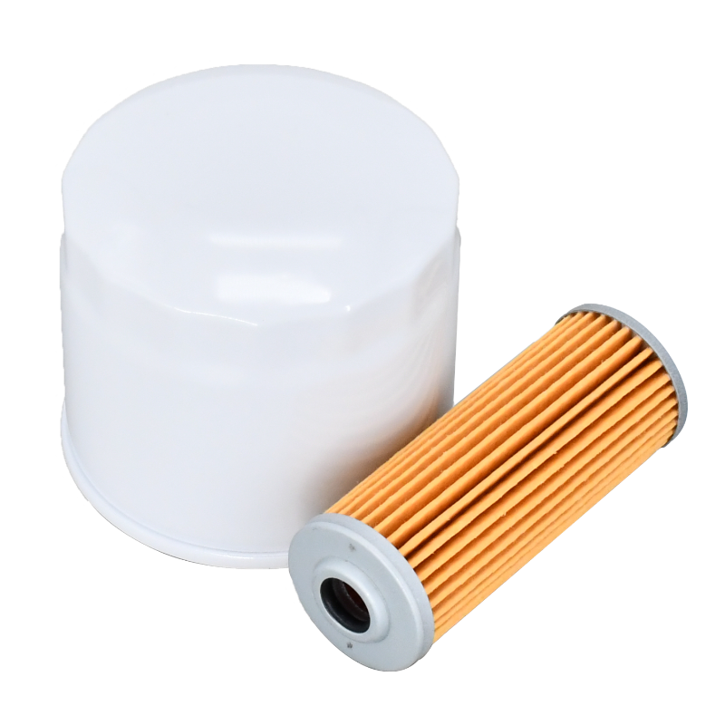 Oil and Fuel Filter M806418